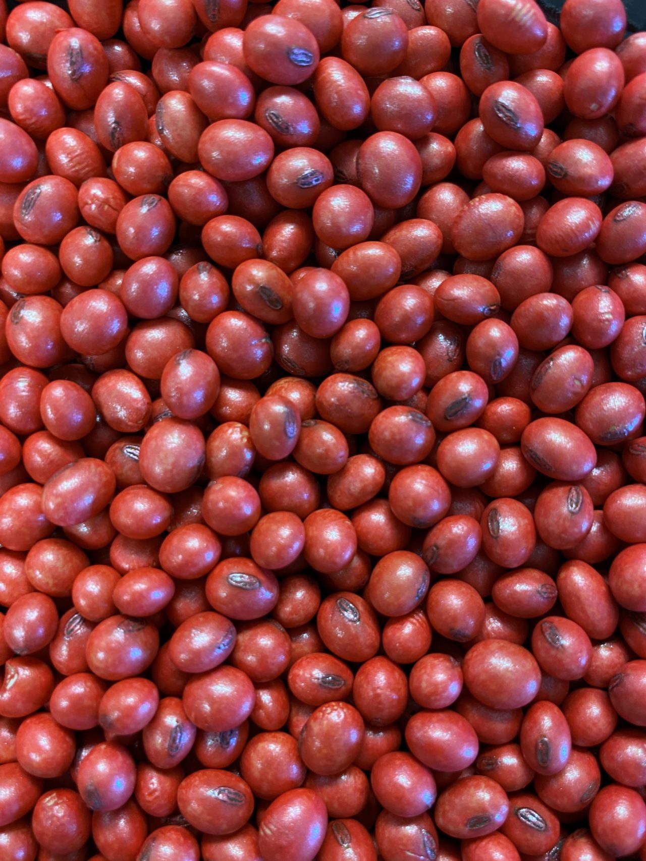 Soybean Seed Treatment | McKillip Seeds